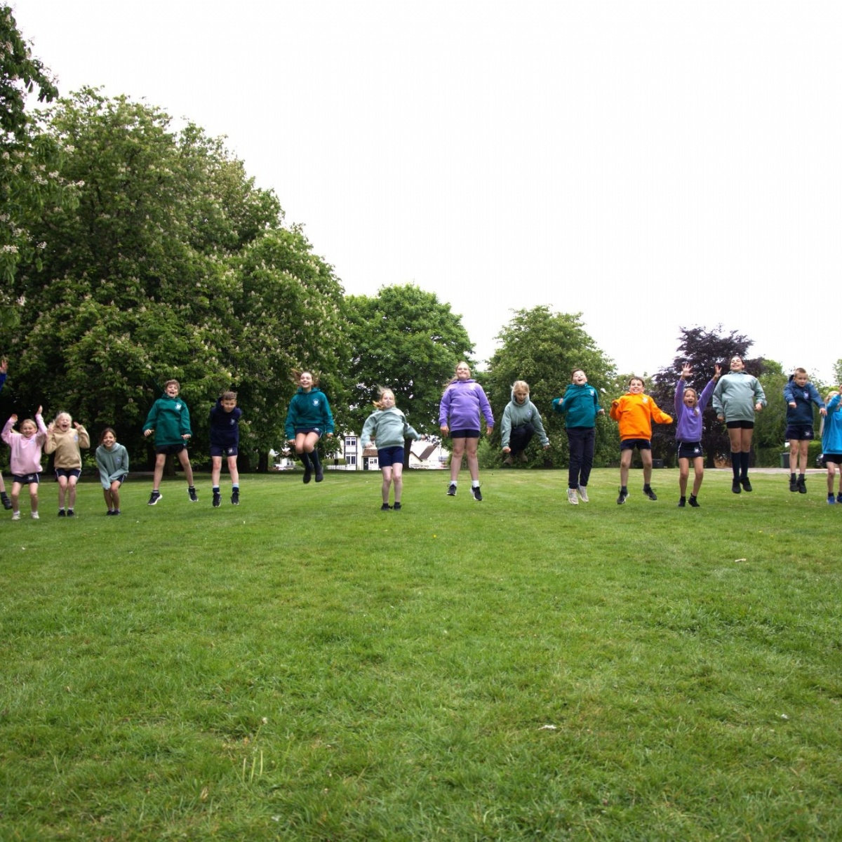 Henham and Ugley Primary and Nursery School - SATs are done!