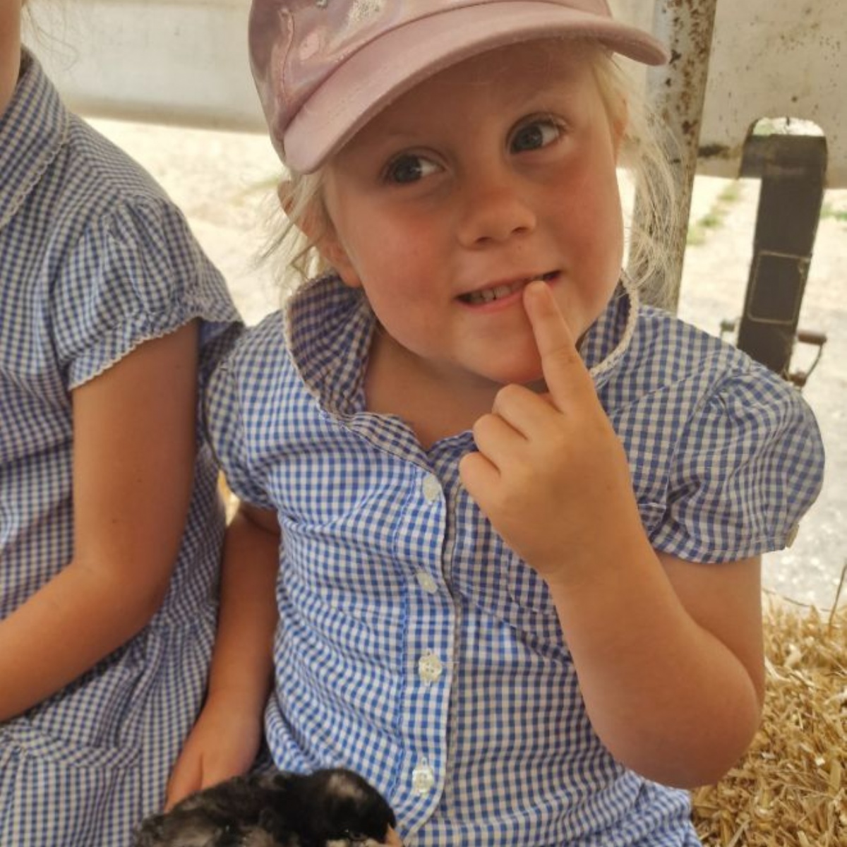 Henham and Ugley Primary and Nursery School - Schools out for Summer!