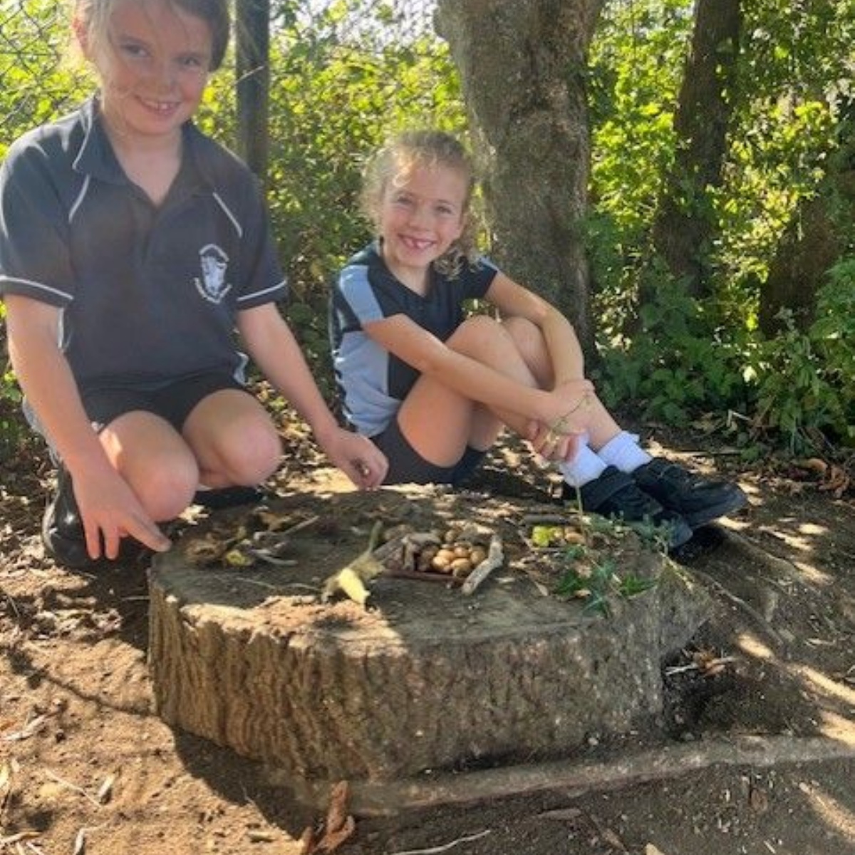 Henham and Ugley Primary and Nursery School - Autumn sunshine & back to ...